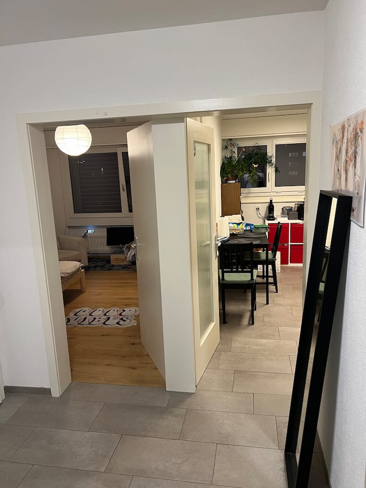 Modern Room In 3-bedroom Flat - Canton of Zürich