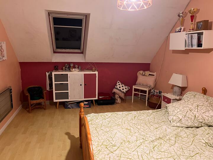 ÉTage Pour Vous Dans Maison De Famille - Plougrescant