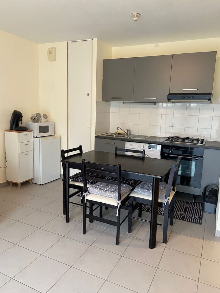 Appartement Périphérie De Lyon - Vénissieux