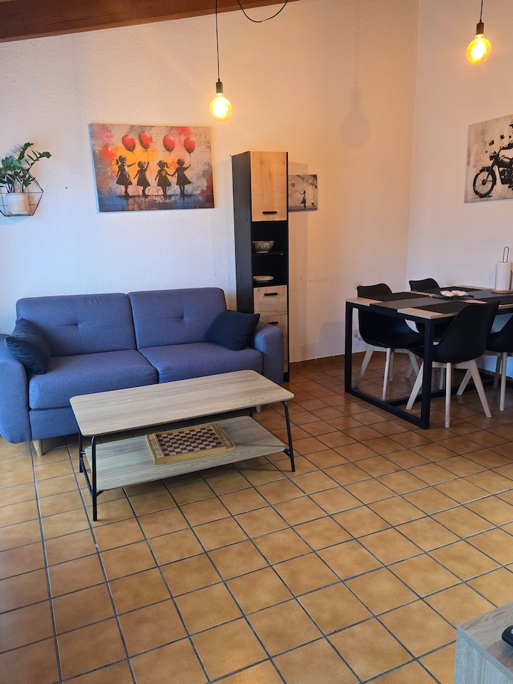 F2 De Plain-pied Avec Jolie Cour Privative 2*  (3) - Céret