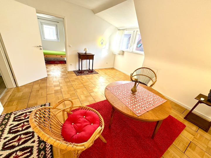 Cozy 2 Bedroom Flat Downtown Freudenstadt - Lauterbad