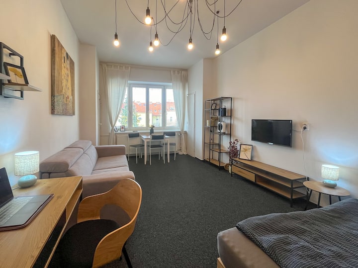 Apartmány Dřevařská Ap12 - Brno