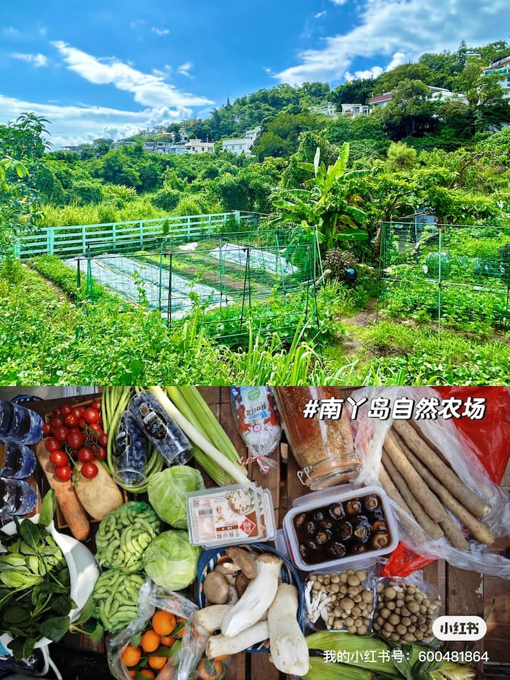 Nature Art House - Hong Kong
