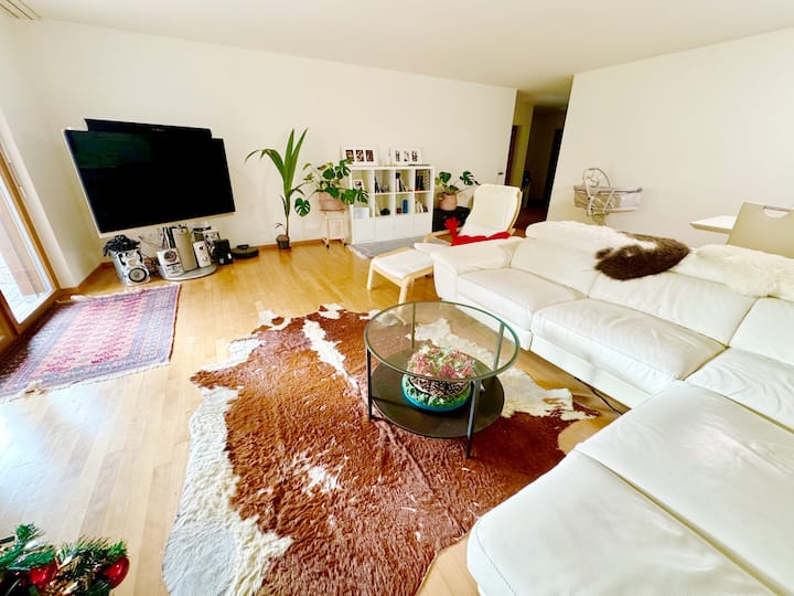 Spacious Home With Garden In Zug - Zoug