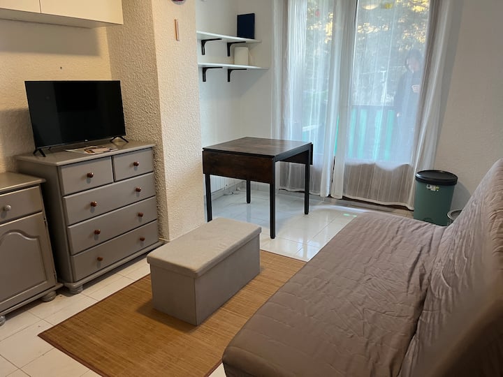 Studio 4-6 Personnes T1 - Seyne