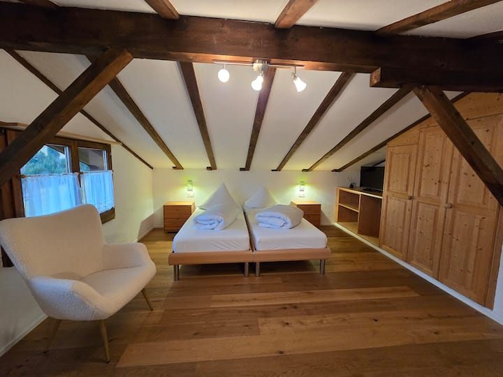 Charming Louisa Roof - Andermatt