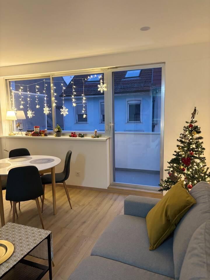 Appartement Centre Historique Parking Privé Balcon - Mulhouse