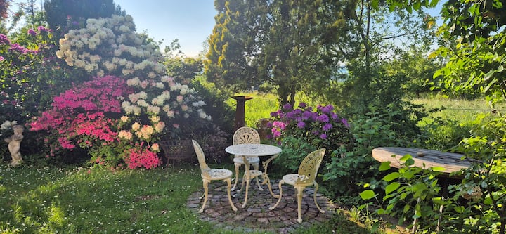 Naturoase Koblenz Arenberg - Koblenz