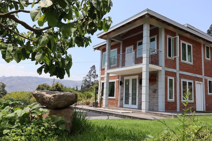 Naturaleza & Encanto Americano - Patate