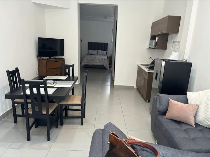 Cómodo Departamento De Una Recámara - León