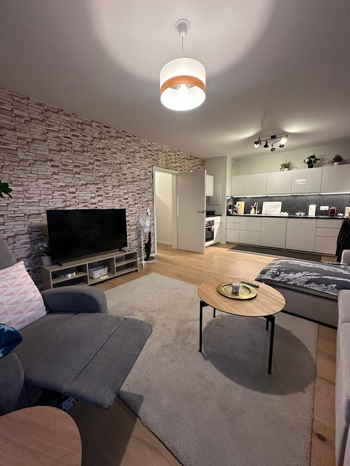 Modern 2 Bedroom Appartment, 70sqm With Balcony - Huningue