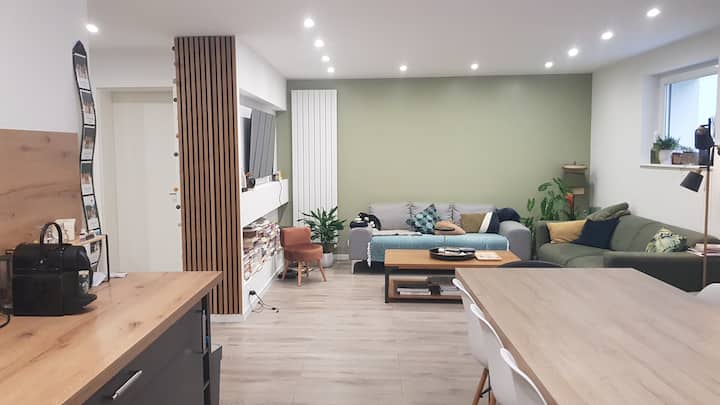 Grand Logement 20 Min Strasbourg - Illkirch-Graffenstaden