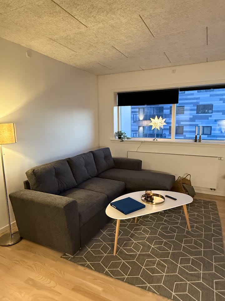 Cozy And Well Equipped,  10 Min.  From City Center - Greenland
