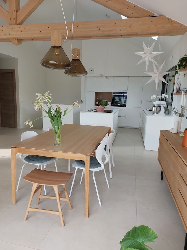 Maison Familiale Avec Vue Lac - Saint-Jorioz