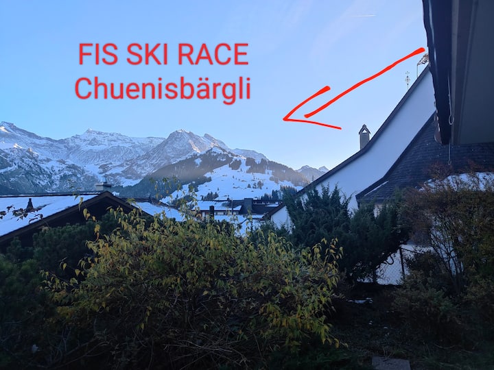 Skirennen Von Der Terrasse Miterleben - Lenk