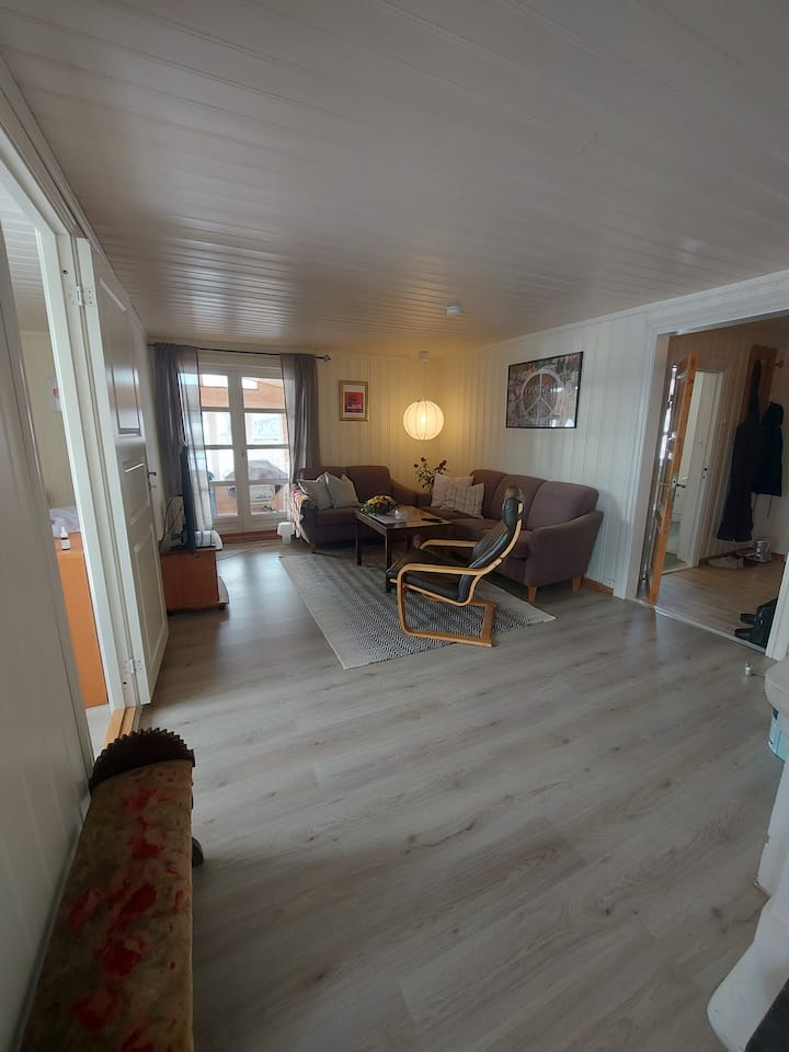 Landlig Leilighet 8 Min Med Bil Til Senturm - Gjøvik