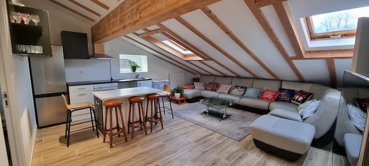 Charmant Appartement - Nyon