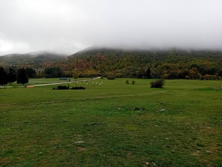 Casa Immersa Nella Natura - Fiuggi