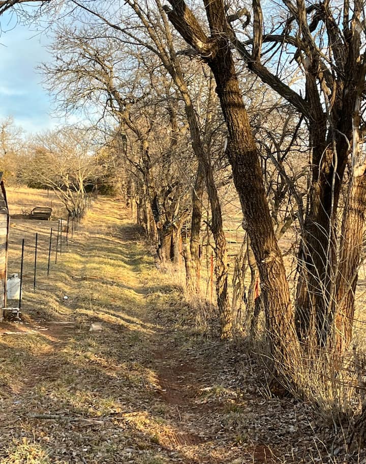 Bring Your Own Tent. - 奧克拉荷馬