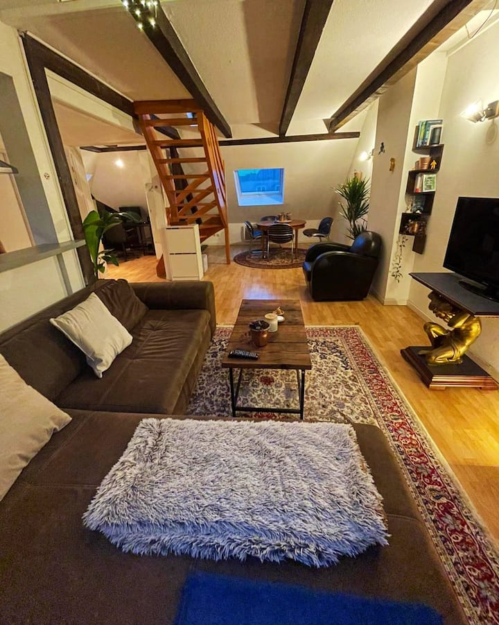 Duplex à Strasbourg - Strasbourg