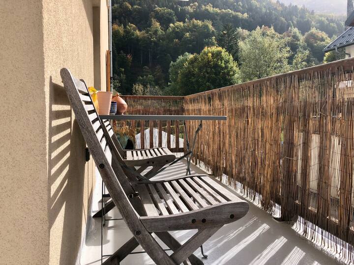 Appartement Lumineux Et Calme - Oz