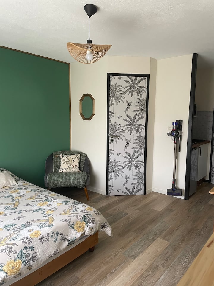 Studio - Jaunay-marigny - Chasseneuil-du-Poitou