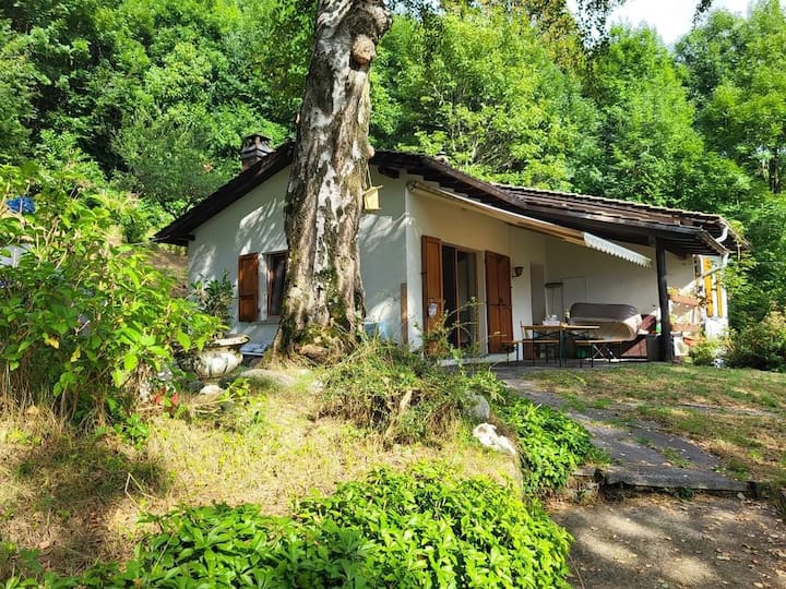 Esclusiva Casa Nel Bosco - Lugano