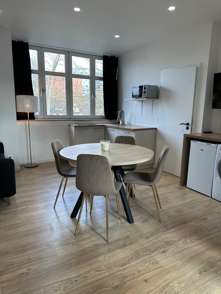 Appartement Paisible:maison De Maître :Vue Sur Eau - Strasbourg