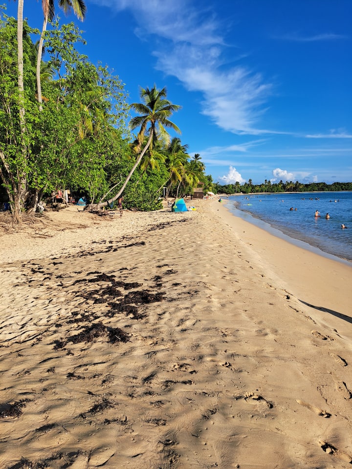 Studio Mezzanine Sainte-anne X4 - Martinique