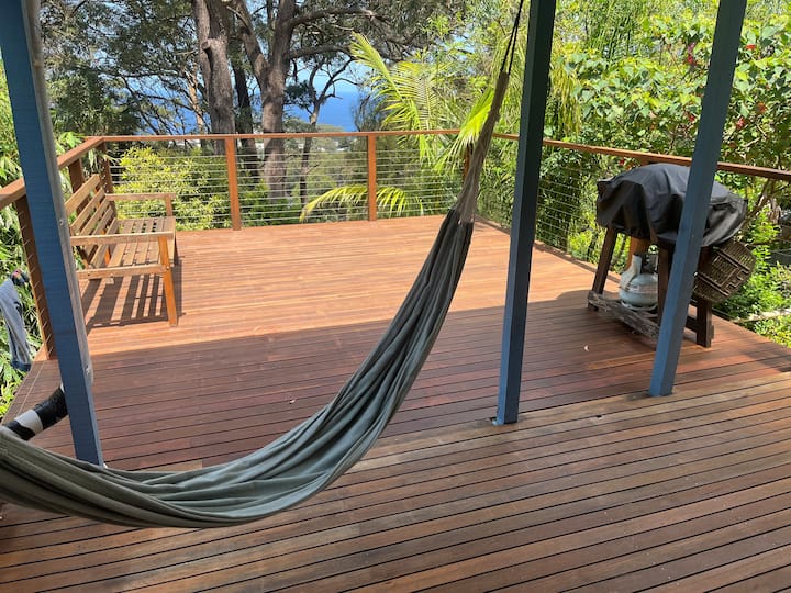 Rainforest Meets The Sea - Austinmer