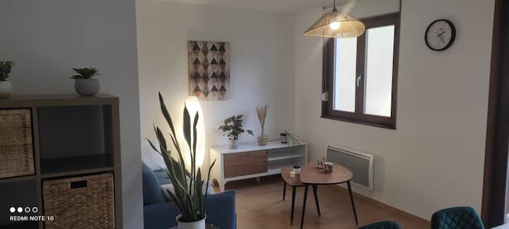 Appartement Fraîchement Rénové - ストラスブール