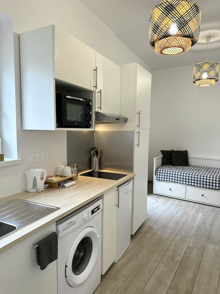 Studio Proche Strasbourg Et Wacken - La Wantzenau