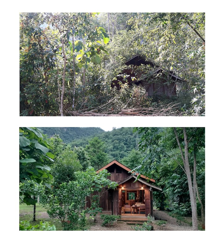 The Swallow Cabin, Chiang Dao, Chiang Mai - Chiang Dao