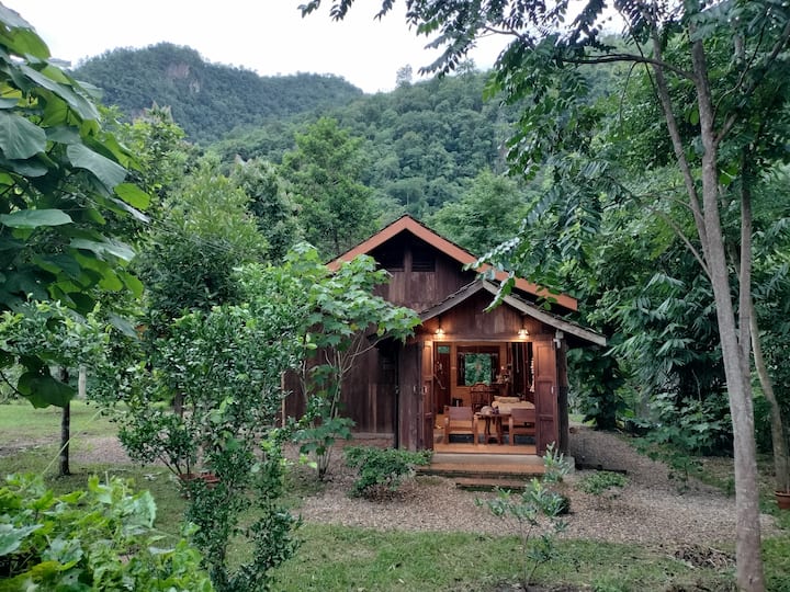 The Swallow Cabin, Chiang Dao, Chiang Mai - Chiang Dao