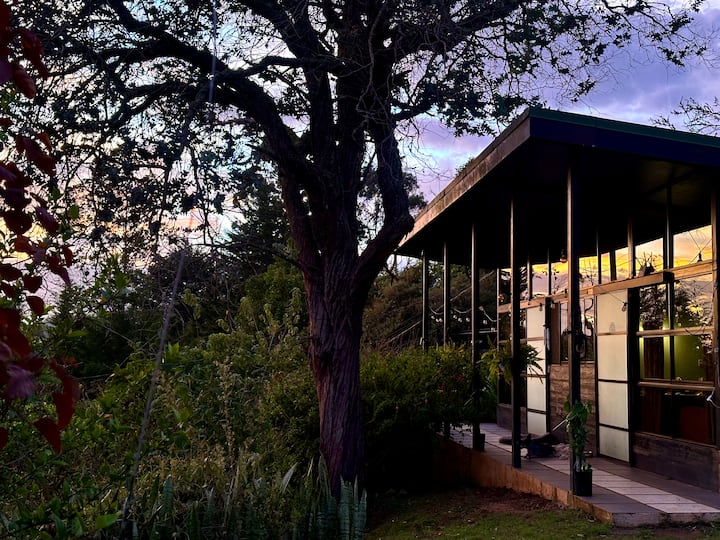 Estudio Eucalipto; Paz Cerca De La Ciudad - Cartago, Costa Rica