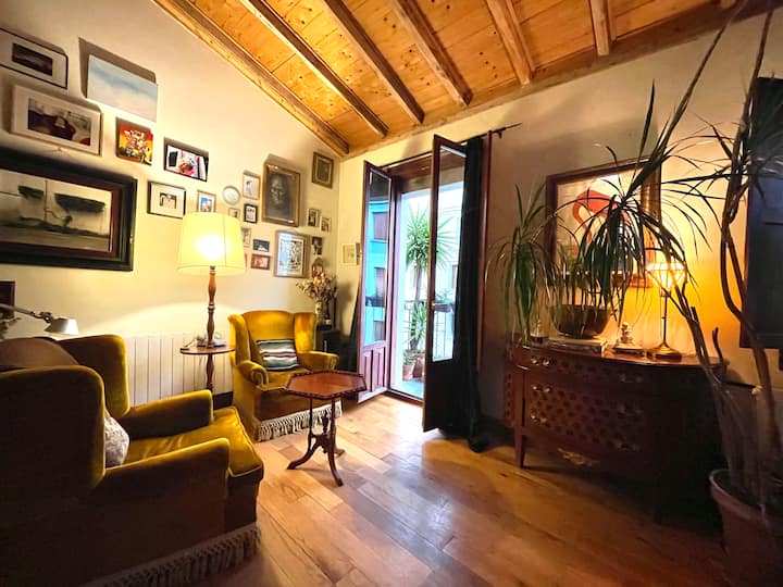 Charming Penthouse In Historical Building - Bilbao