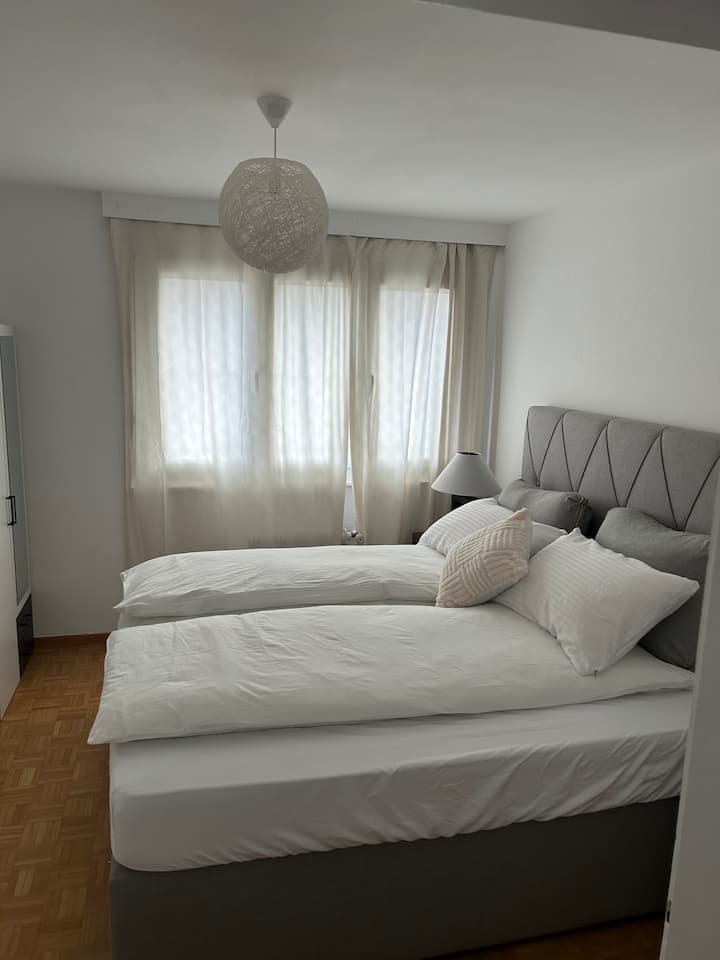 Stunning Apartment With Lake View - Vevey
