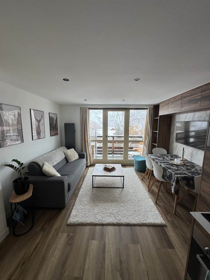 Appartement Proche Des Pistes «&nbsp;L’ubac&nbsp;» - Valloire