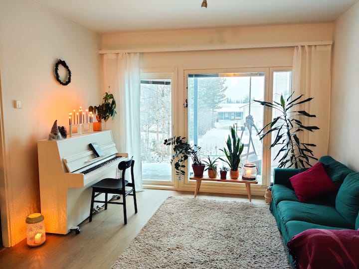 The Arctic Dream - Rovaniemi