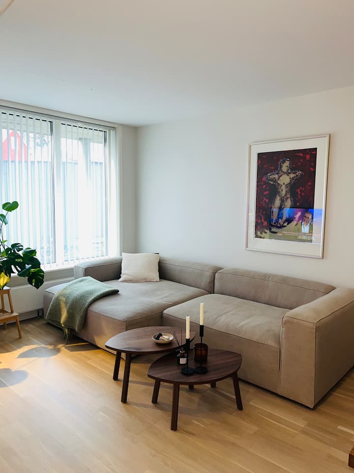 Moderne Leilighet - Trondheim