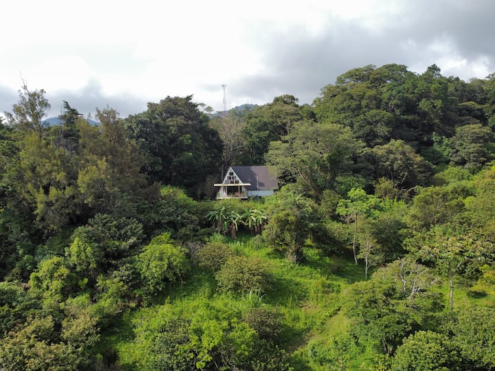 Casa En El Bosque Con Senderos Privados-monteverde - Monteverde