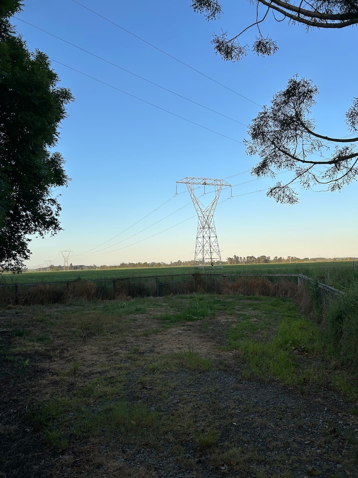 Private Parking For Backpacker Van | Glamping - Pleasant Point