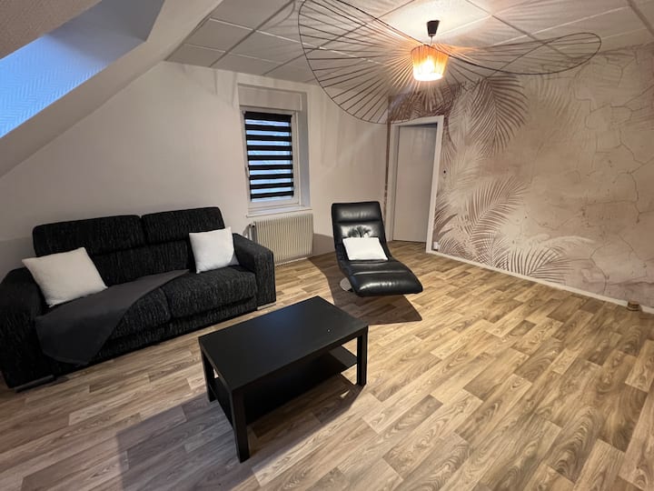 Grand Appartement 6 Personnes - Mulhouse