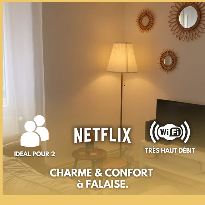 Charme Et Confort : L'idéal Du Centre Ville - Falaise