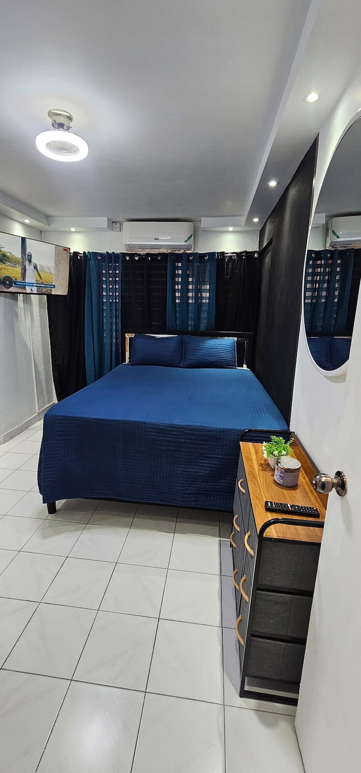 Skywin2 Getaway - 1br Appt. Hwt Kingston - Kingston