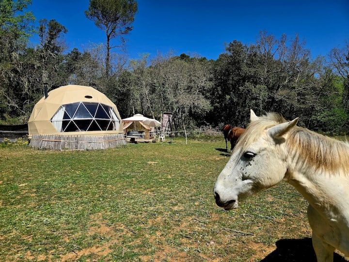 La Cabane Aux Chevaux - La Verdière
