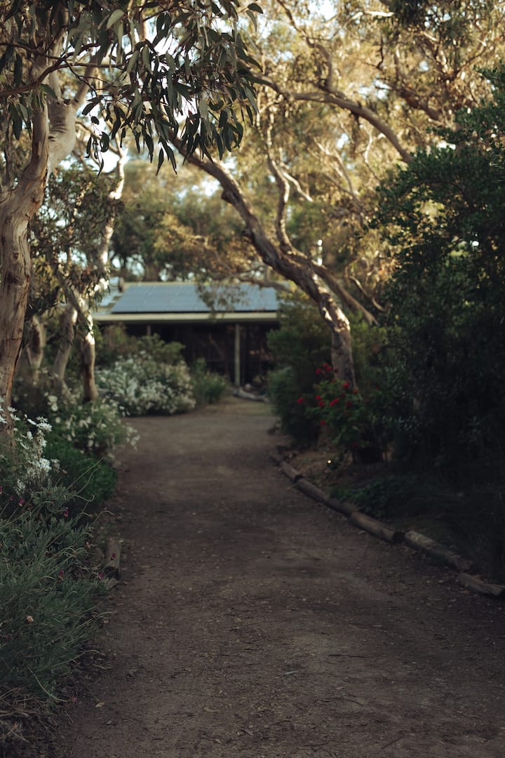 Parrots Rest - Aldinga