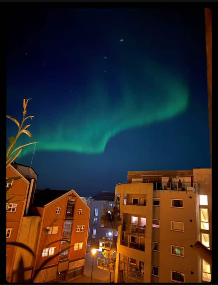 Sjelden Bakklandet I
Sjarmerende Sentrum Old Town - Norwegen