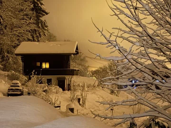 Cosy Samoens Family Chalet - Samoëns