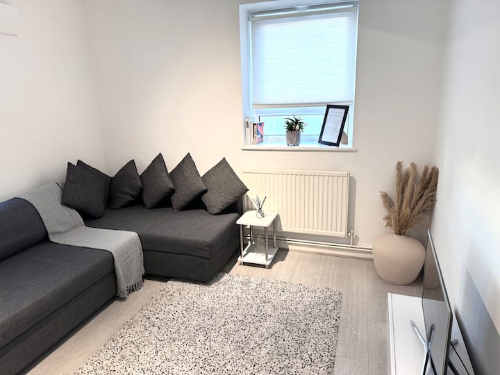 Stylish & Bright 1 Bed Apartment Near Canary Wharf - Greenwich